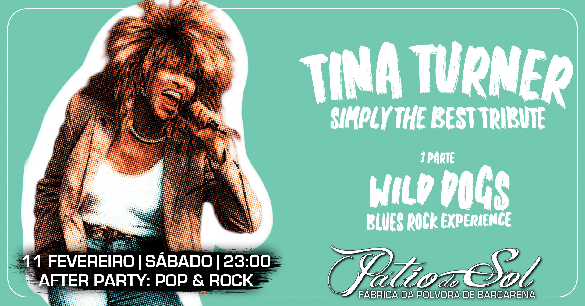Simply The Best - Trib. Tina Turner | 1ª Parte: Wild Dogs | After Party ...