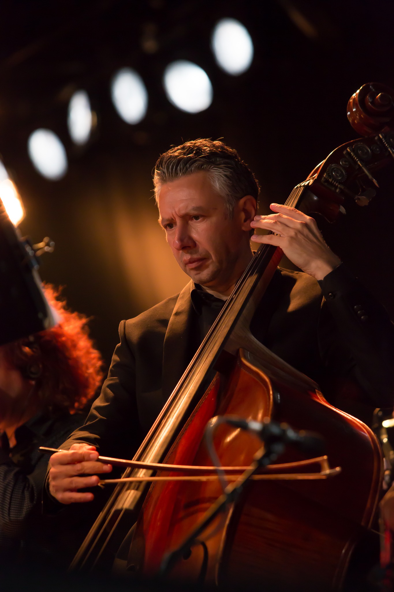 Violino & Contrabaixo | Solistas da Metropolitana - Eventos em Lisboa