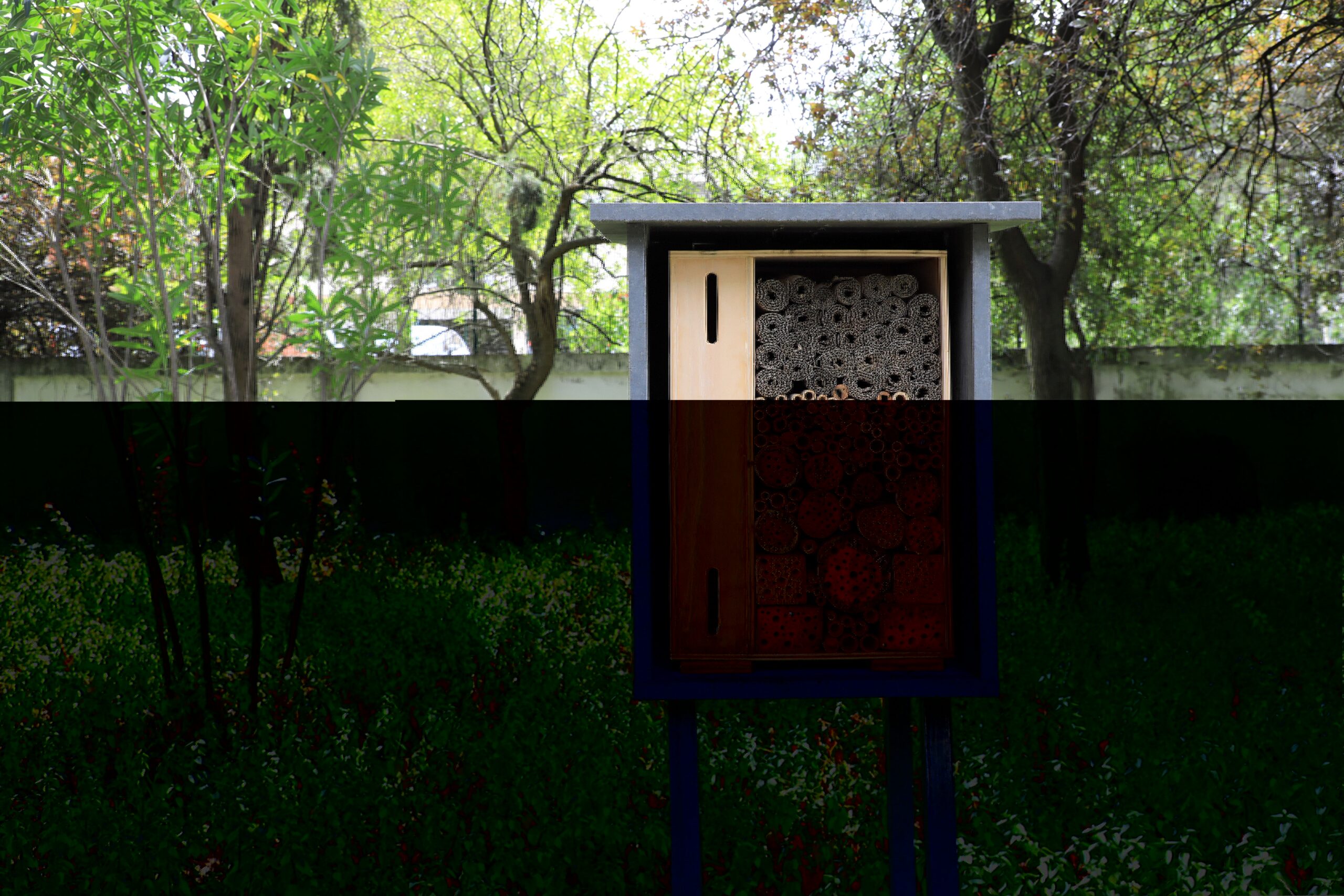 Oficina • Um hotel de insetos - Eventos em Lisboa